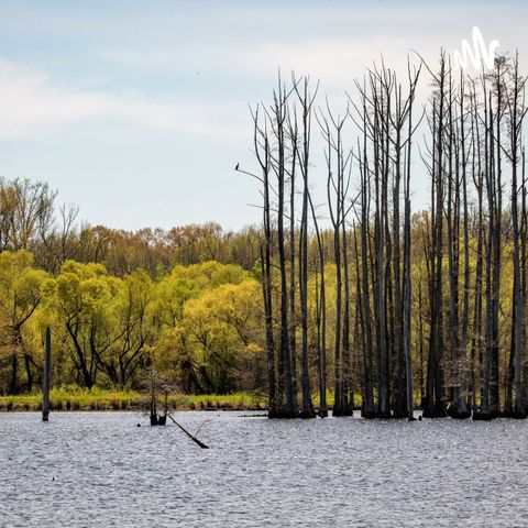 256.【国内】2022年全国市场监管部门受理消费者投诉1310.38万件！