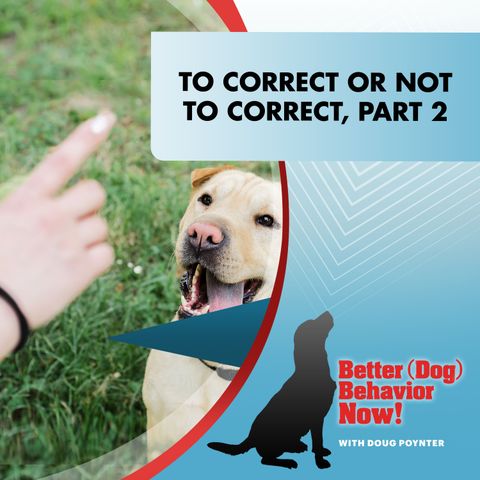 To Correct Or Not To Correct, Part 2