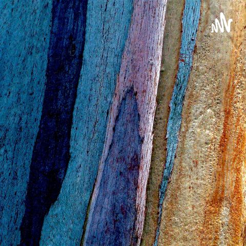 600.“杭州杀妻案”被告人许国利被执行死刑