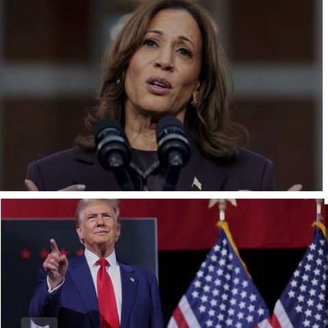 American Election results 2024: why did Kamala Harris lose? and why did Trump get re-elected?