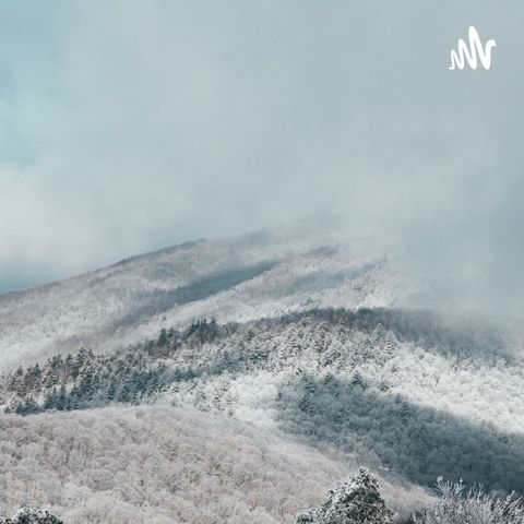 1939.20180313.1太空探索技术公司打算往火星上打人了？