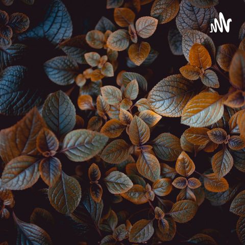 279.128.孩子11岁前家长是否已经完成孩子所需三大任务？