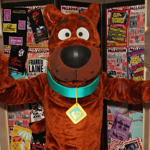 Band mortified after fan’s proposal gets rejected on stage – only for ...