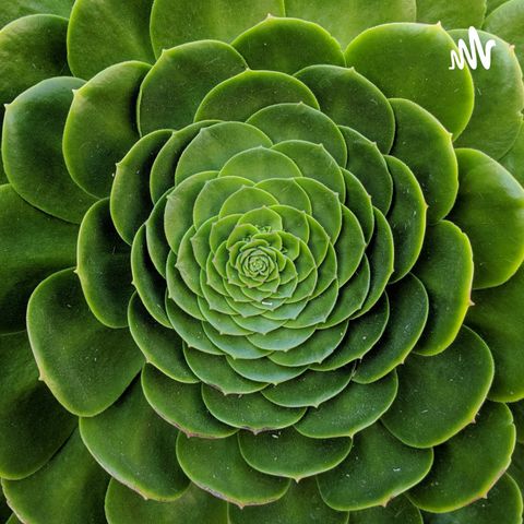 22304.山东： 117名女生“簇拥”唯一男生合影 从事教育工作服务基层