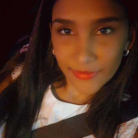 Concepciones teóricas y enfoques del currículo dominicano vigente