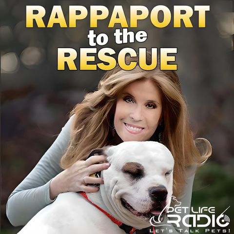 Rappaport To The Rescue - Paw 64: Donna Karan & Georgina Bloomberg with ...