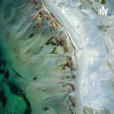 372.【听早安·南都】最新！一线城市平均购房年龄：36-38岁- 12.30