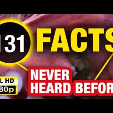 131 Interesting Facts That Are Surprisingly True!