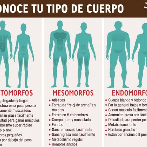 #29. BIOTIPOS O SOMATOTIPOS