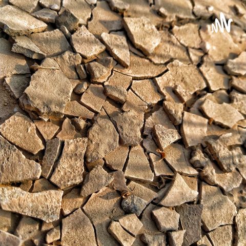 204.沙雕视频-恐怖沙雕故事-李老头回魂夜 一