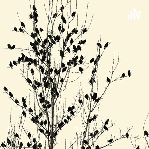 134.《资治通鉴》白话版精选故事 郁林王萧昭业