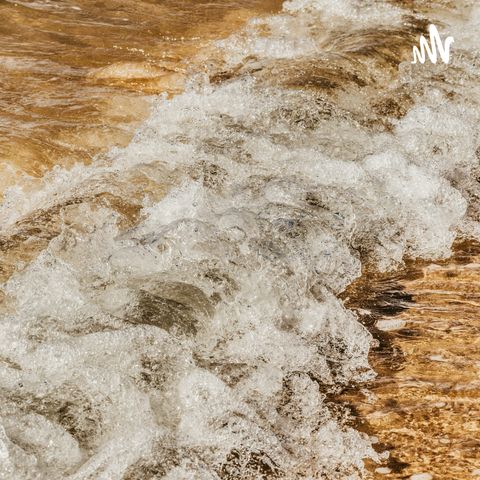 119.《粗海盐》 朗读：姜林杉