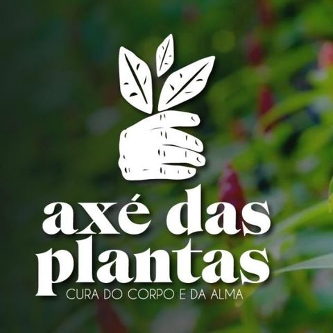 Teaser - Axé das plantas - Cura do Corpo e da Alma