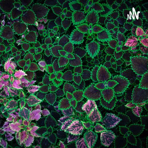 5122.神舟十四号载人飞船发射取得圆满成功， 3名航天员已经顺利进驻天和核心舱