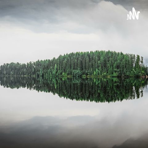 156.《伊索寓言》022 黄蜂和蜜蜂｜睡前故事