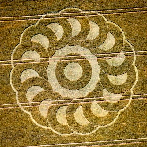 CROP CIRCLES - SACRED GEOMETRY, COMMUNICATION FROM ETs, OR A HOAX?