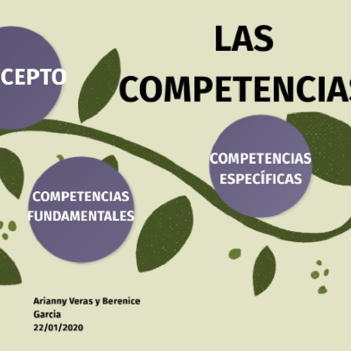 Competencias Fundamentales y Específicas