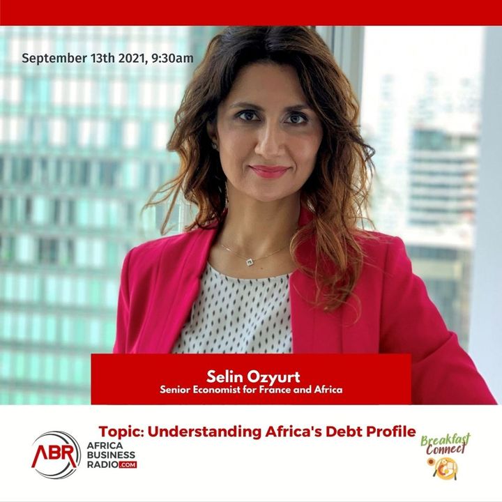 Understanding Africa's Debt Profile - Selin Ozyurt