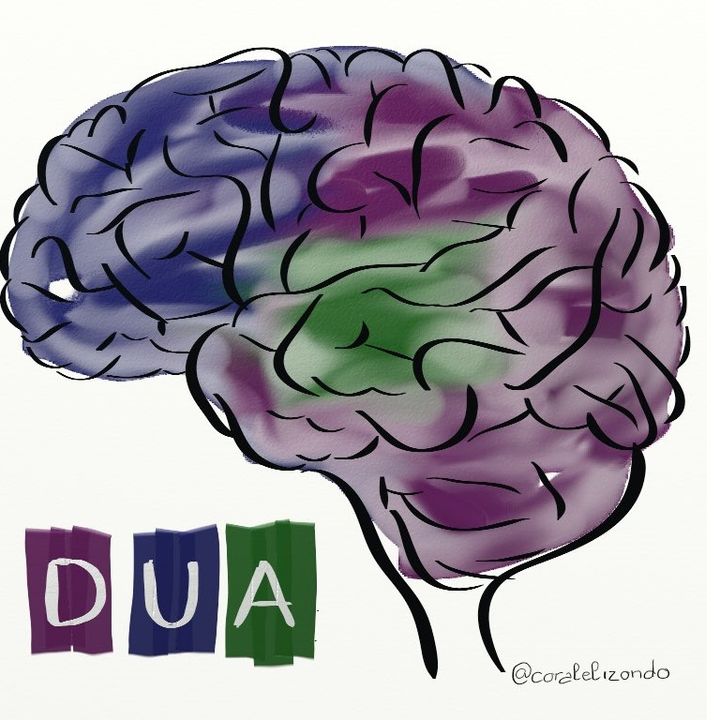 Conceptos básicos del DUA