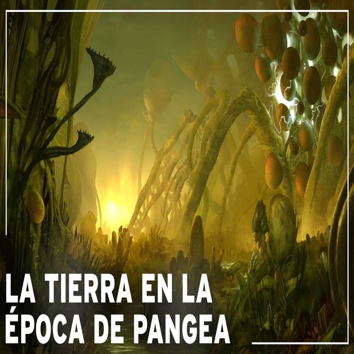 #3 ¿ Cómo era la Tierra en la Época de Pangea ? | Documental Historia ...