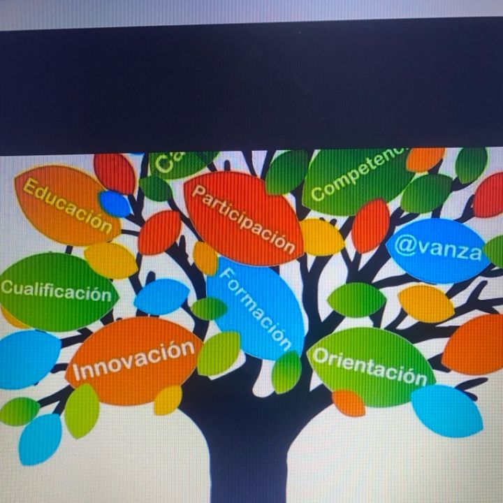 Enfoque por competencias Miguel Peguero