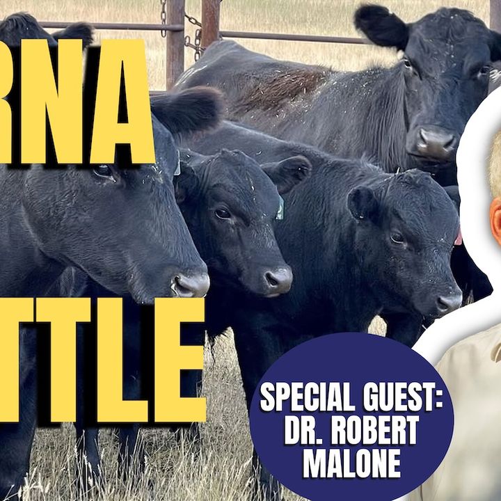 Cattle mRNA | Dr. Robert Malone (TPC #1,460)