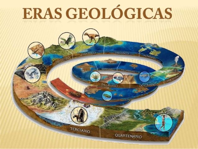 Eón Fanerozoico y eras geológicas.