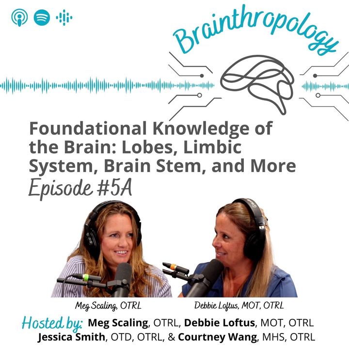 05A: Foundational Knowledge of the Brain: Lobes, Limbic System, Brain ...