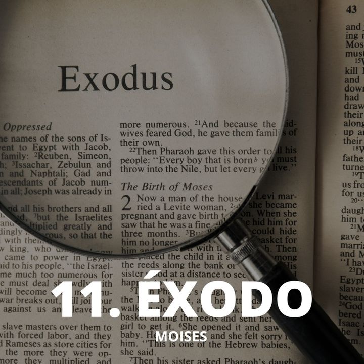 11. Éxodo