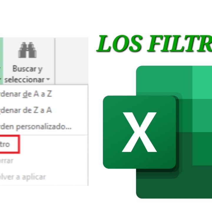 Los Filtros en Excel, Elementos