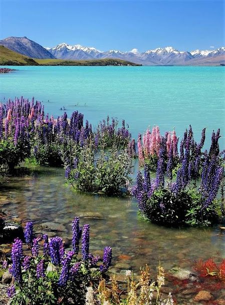 THE-FAITH-PROJECT....