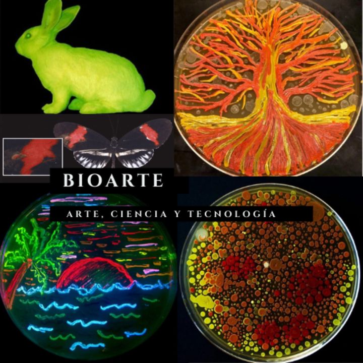 Arte Ciencia Digital