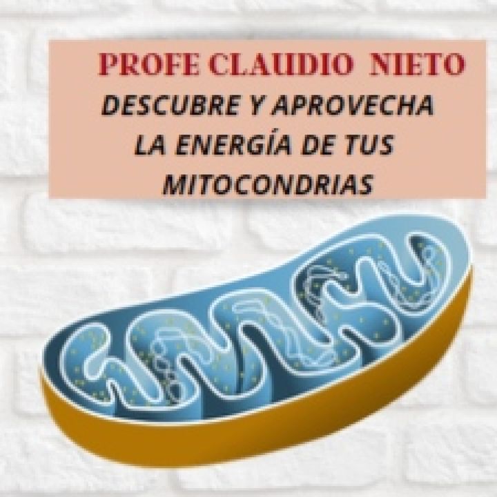 57. MITOCONDRIA: ¿Qué es una mitocondria y CUÁL es su función? MEJORA ... 57. MITOCONDRIA: ¿Qué es una mitocondria y CUÁL es su función? MEJORA ...