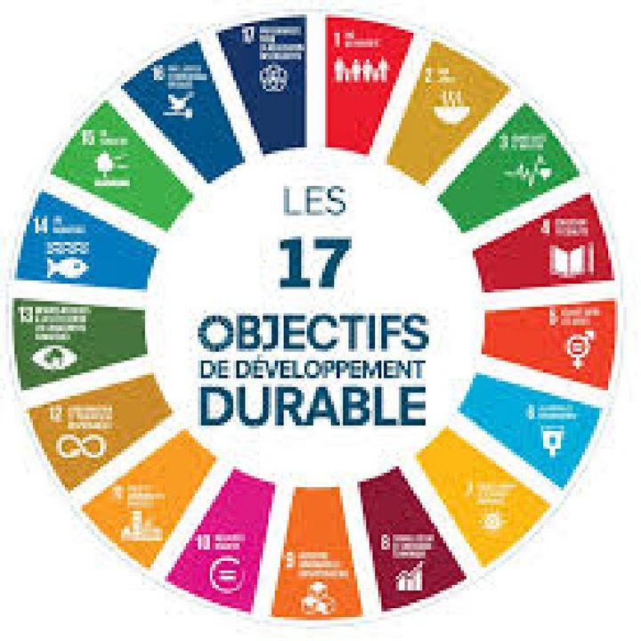 Émission N°8 ODD, Objectif Développement Durable