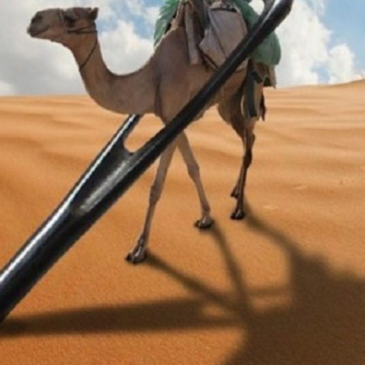 20.08.2019 - È più facile che un cammello passi per la cruna di un ago ...