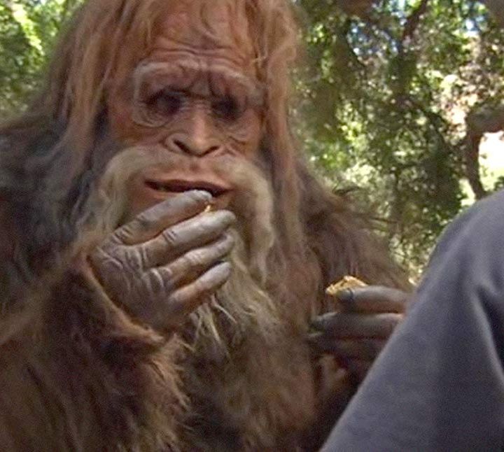 They Called This a Movie Episode 20 - Bigfoot (2009)