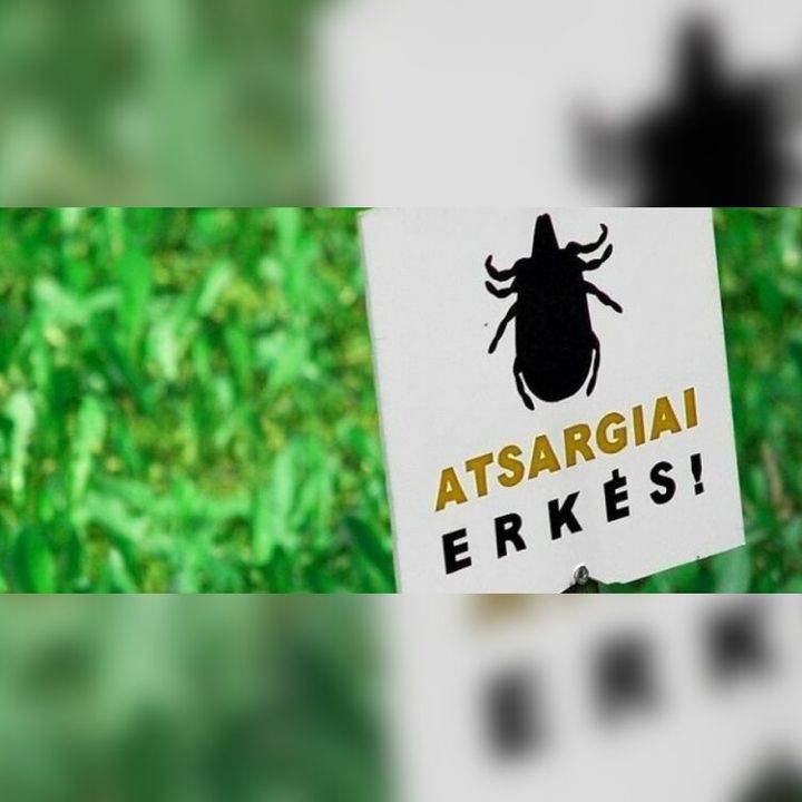 В парках Вильнюса появились знаки предупреждающие о клещах