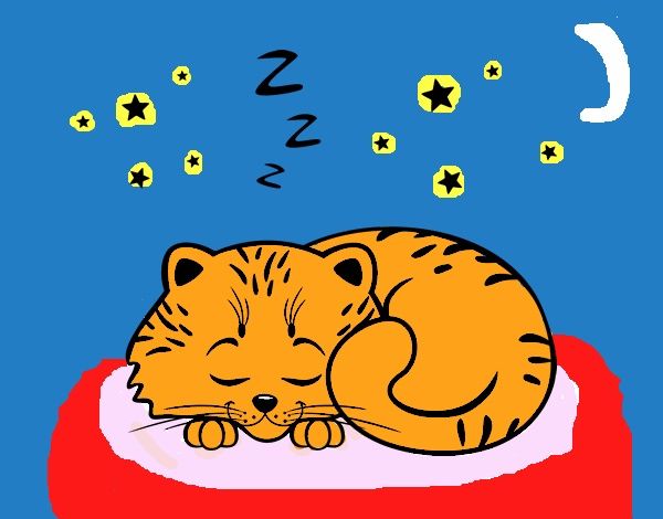 CUENTO: ''EL GATO DORMILON''