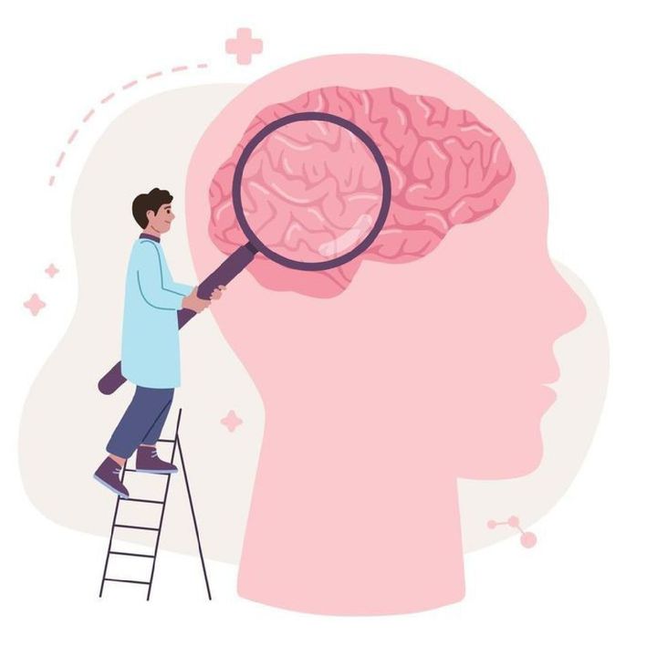 Fases del proceso Analítico