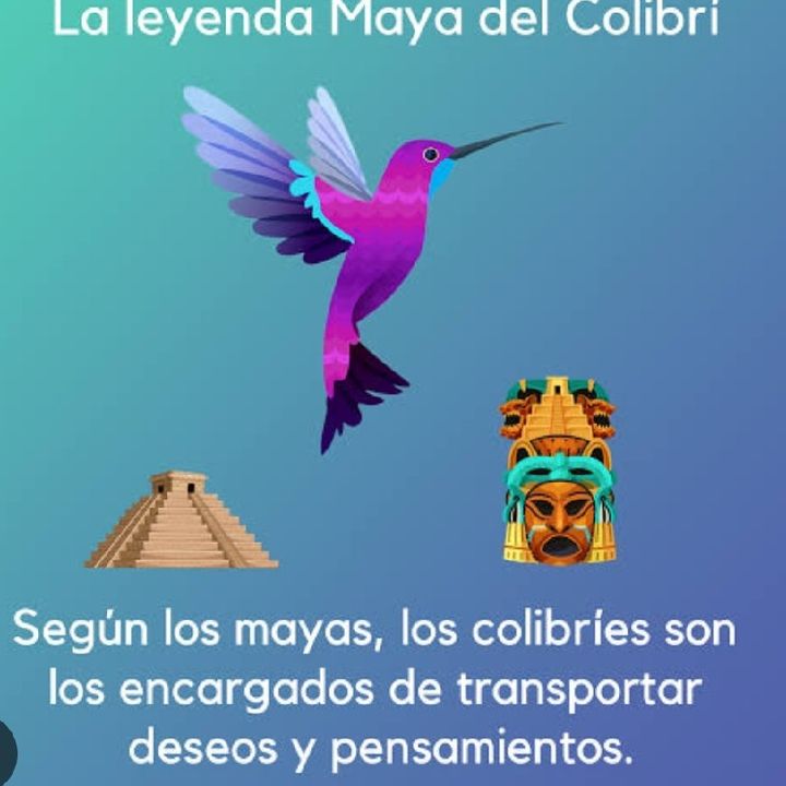 La Leyenda Del Colibrí Leyenda Del Colibrí, ¿la Conocés? Qi