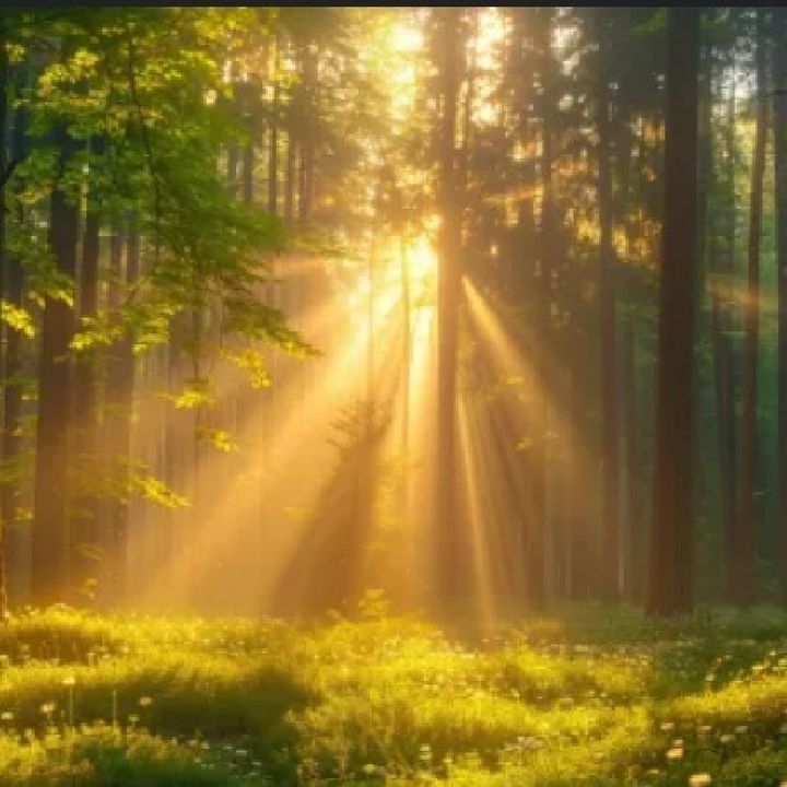 Episode 17 - Safe Hayven - PSA Message #2