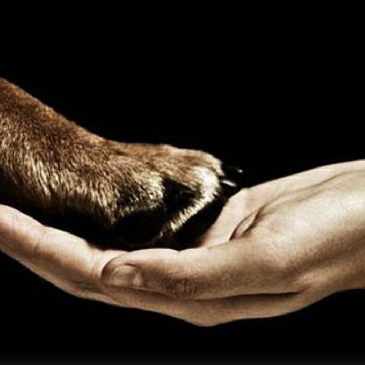 La Relacion Del Ser Humano Con Su Entorno