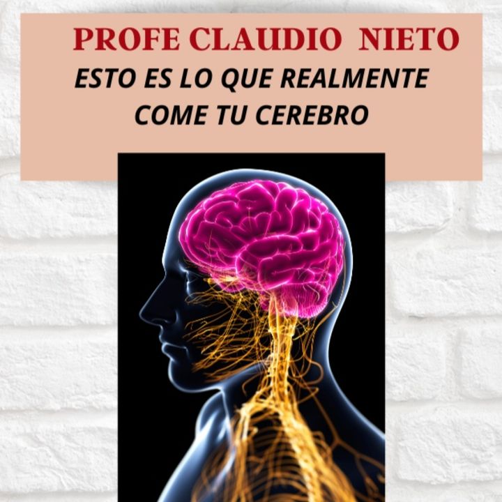 98. DESCUBRE de dónde saca TU CEREBRO LA GLUCOSA QUE NECESITA ¿Qué hace ...